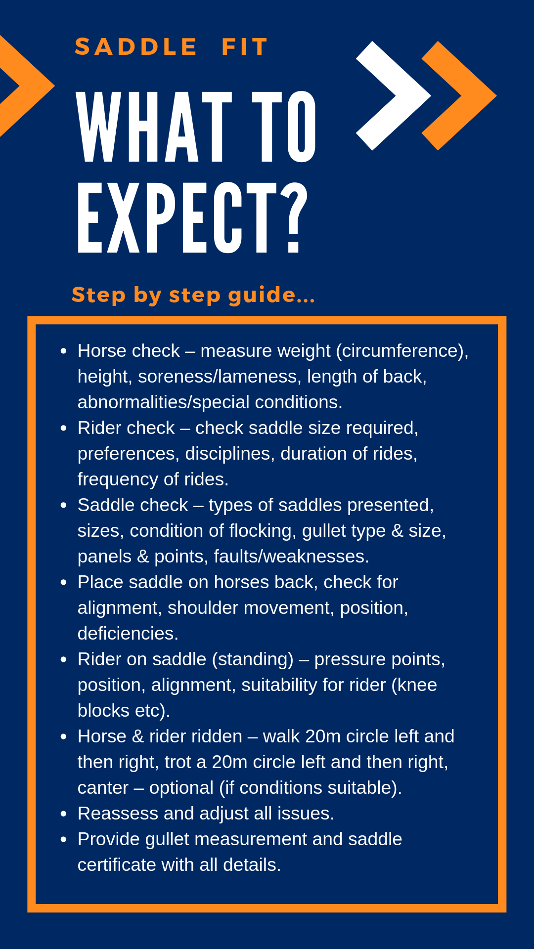 Saddle Fit Process – Inline Equine